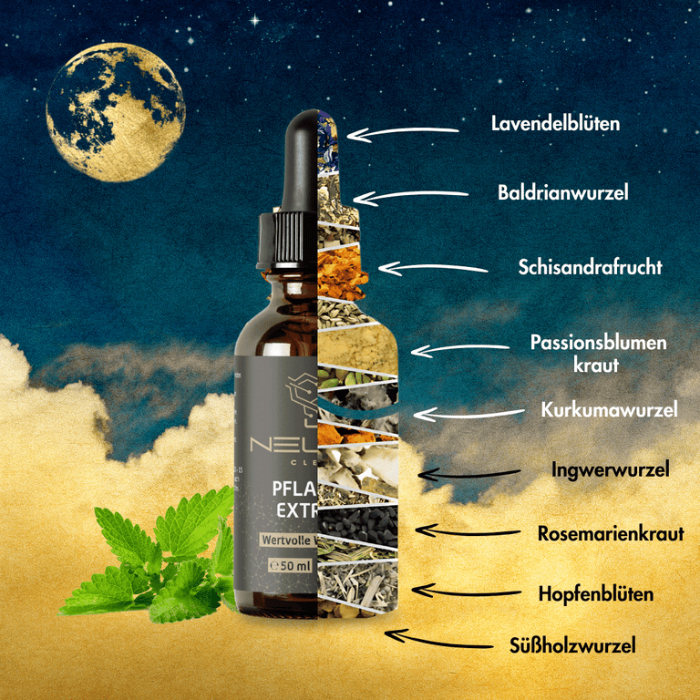 NeuroClean™ - Werde wieder fit & voller Energie